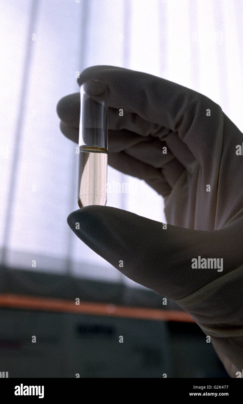 Sample in test tube held in gloved hand Stock Photo - Alamy