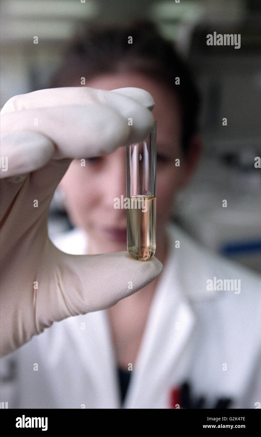 Technician views sample in test tube Stock Photo - Alamy
