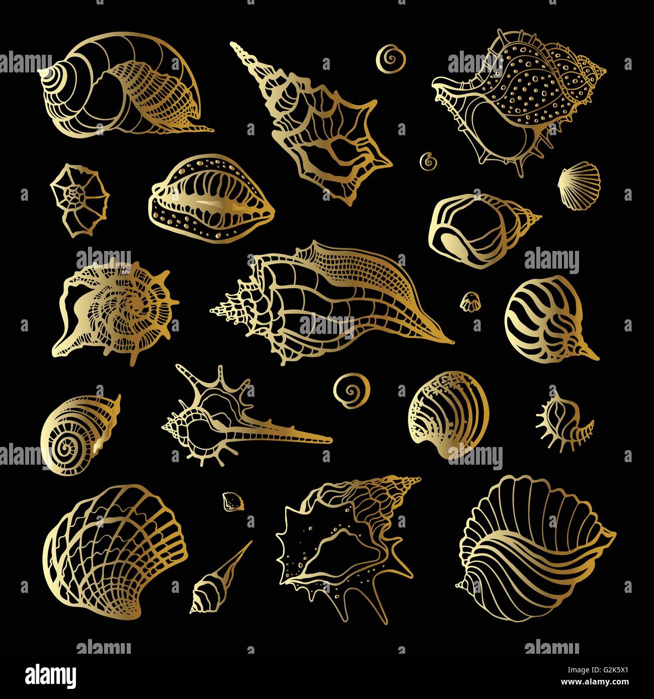 Golden sea shell. Collection of seashells Stock Vector Image & Art - Alamy