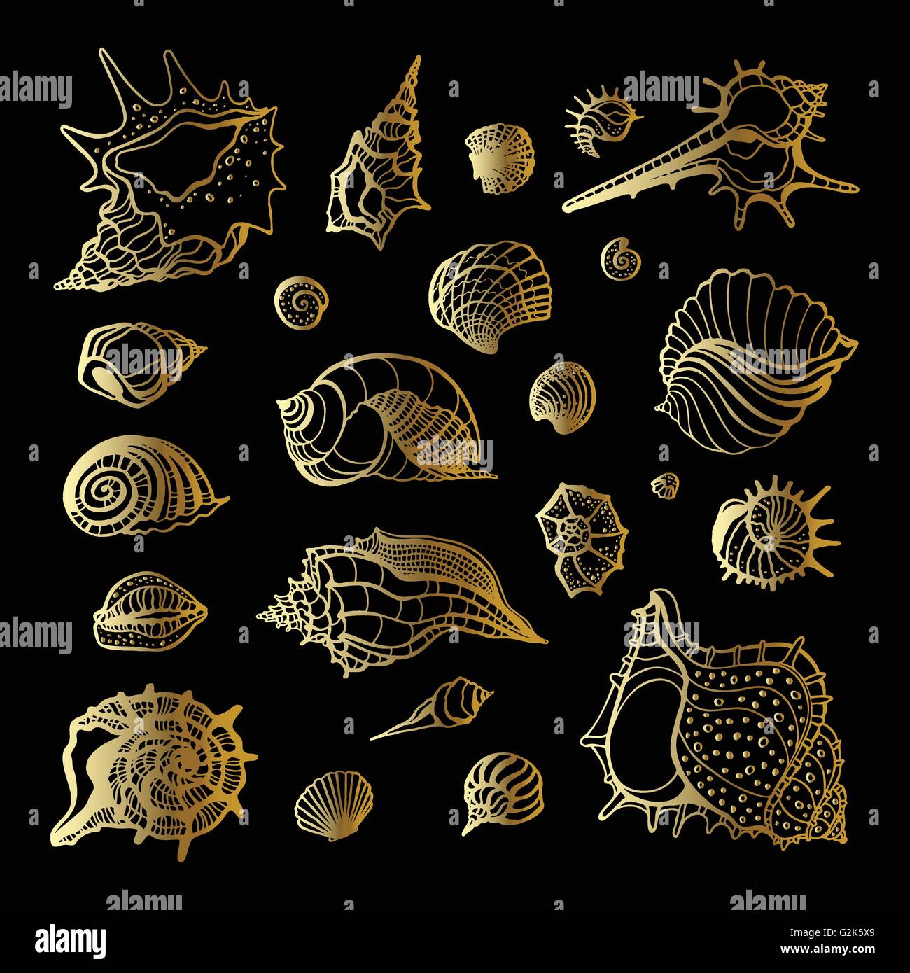 Golden sea shell. Collection of seashells Stock Vector Image & Art - Alamy