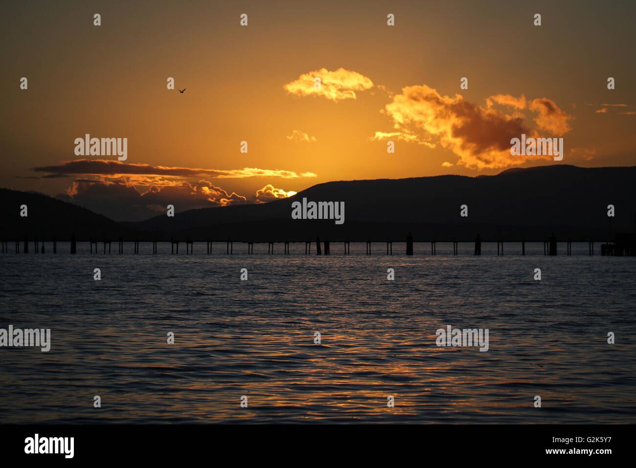 Bellingham bay hi-res stock photography and images - Alamy