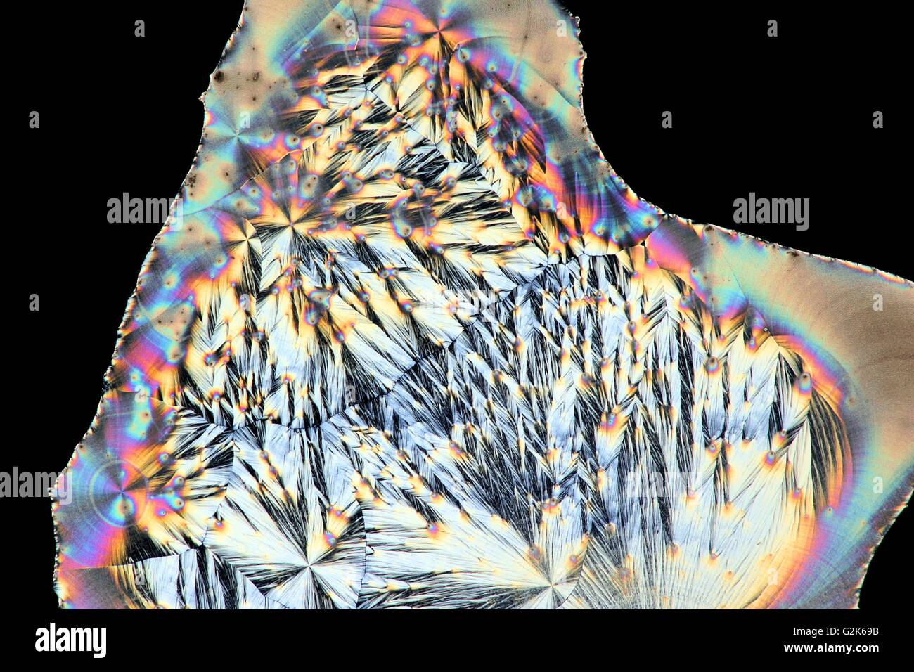 This is ascorbic acid (vitamin C) crystallized on a microscope glass ...