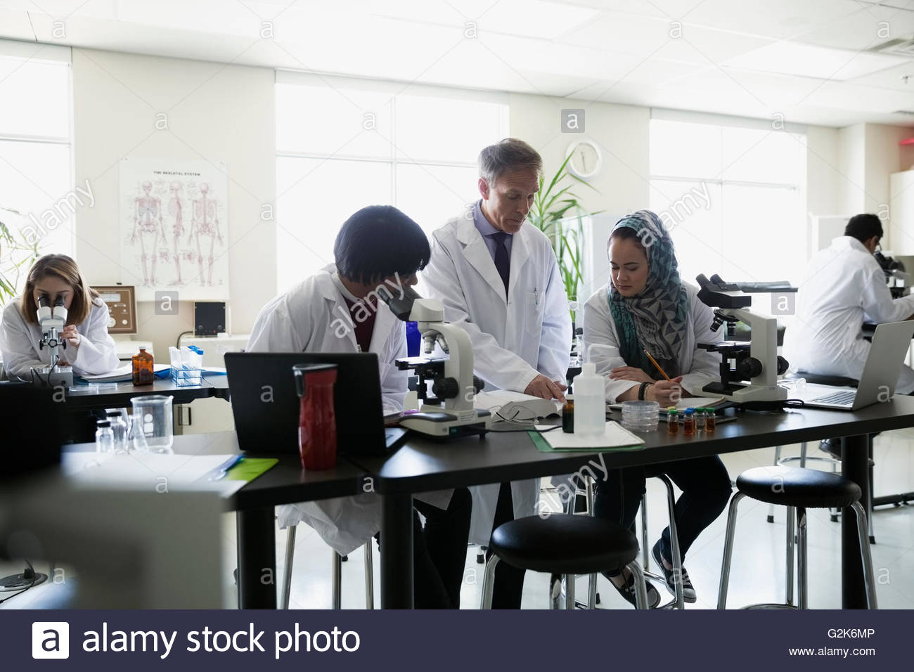 Group students and professor discussing hi-res stock photography and ...