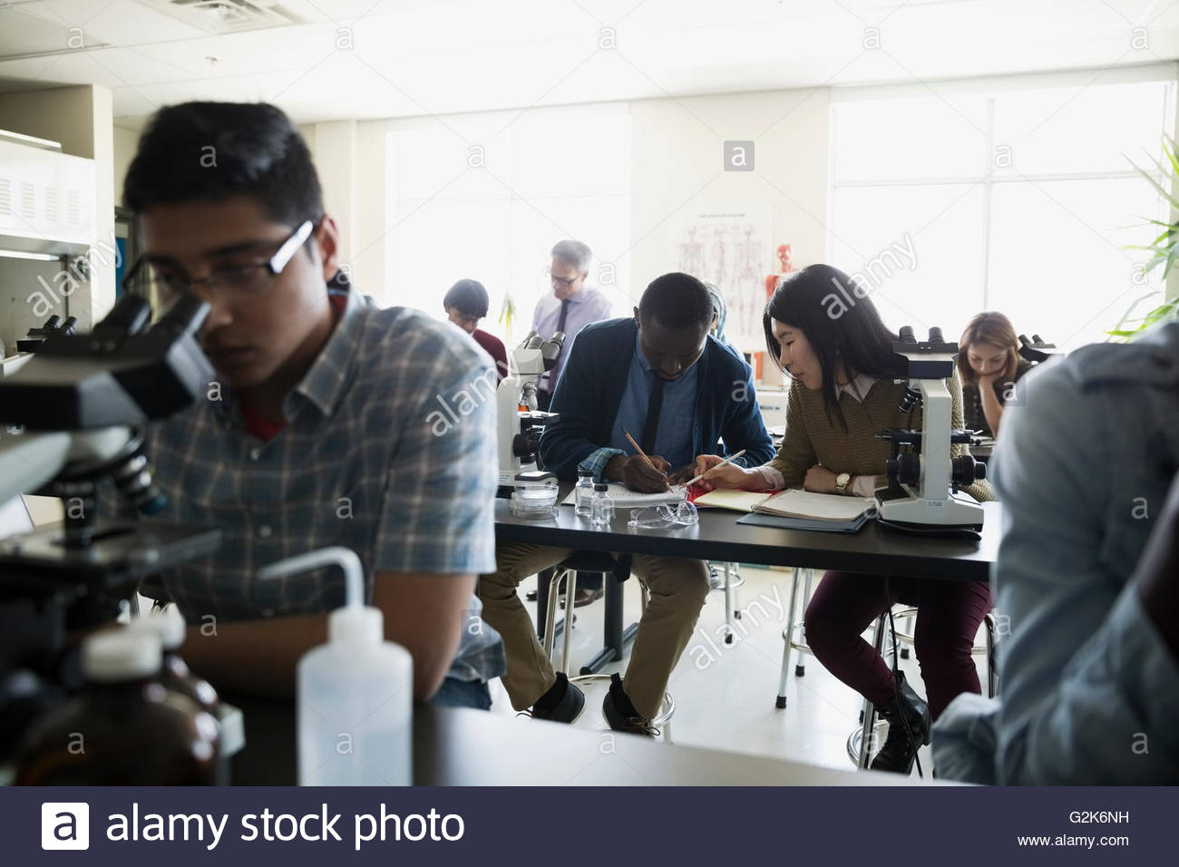 College students discussing notes in science laboratory Stock Photo - Alamy