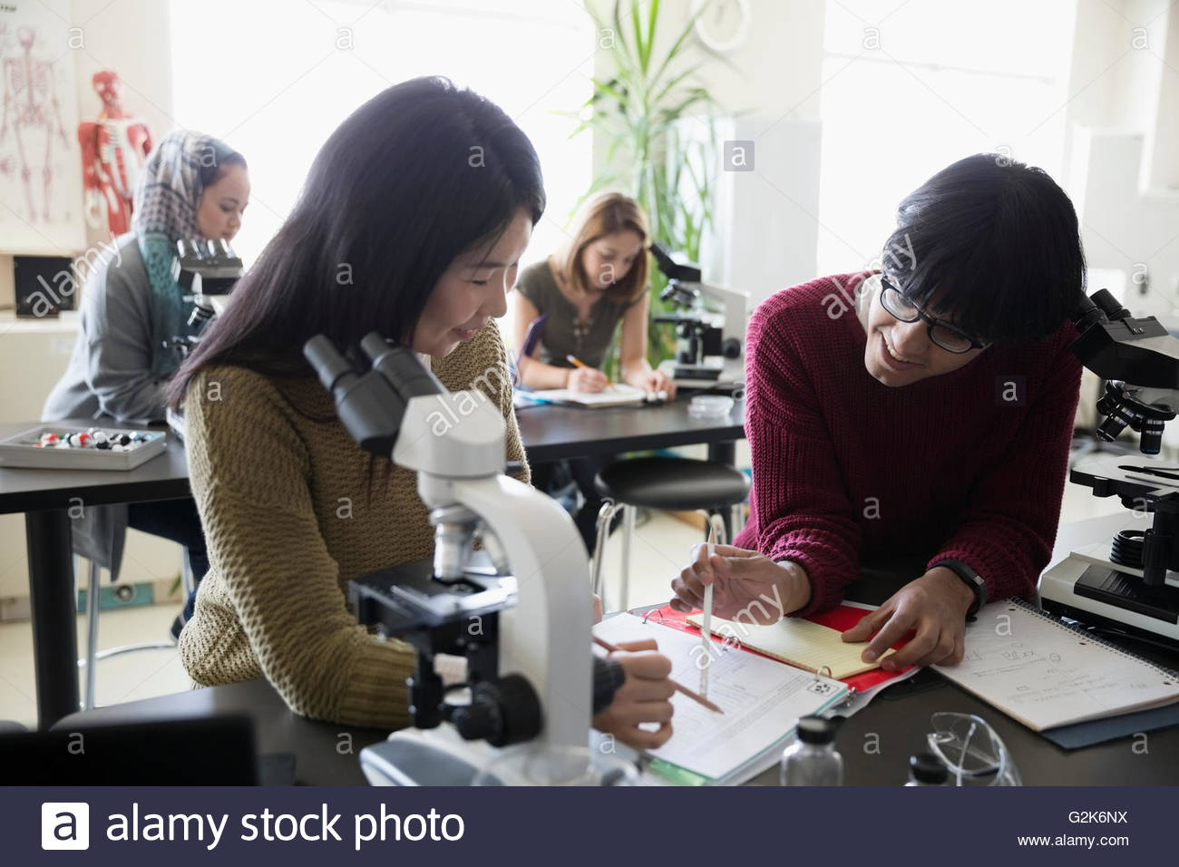 Four microscope hi-res stock photography and images - Alamy
