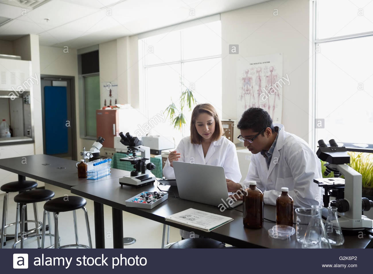 Two students working at laptop science hi-res stock photography and ...