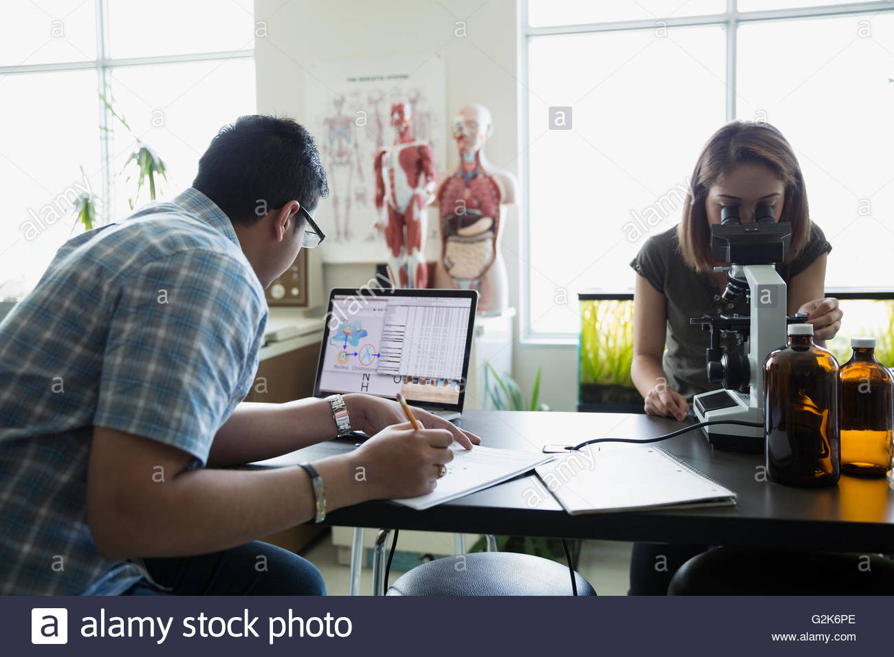 College students conducting scientific experiment in laboratory Stock ...