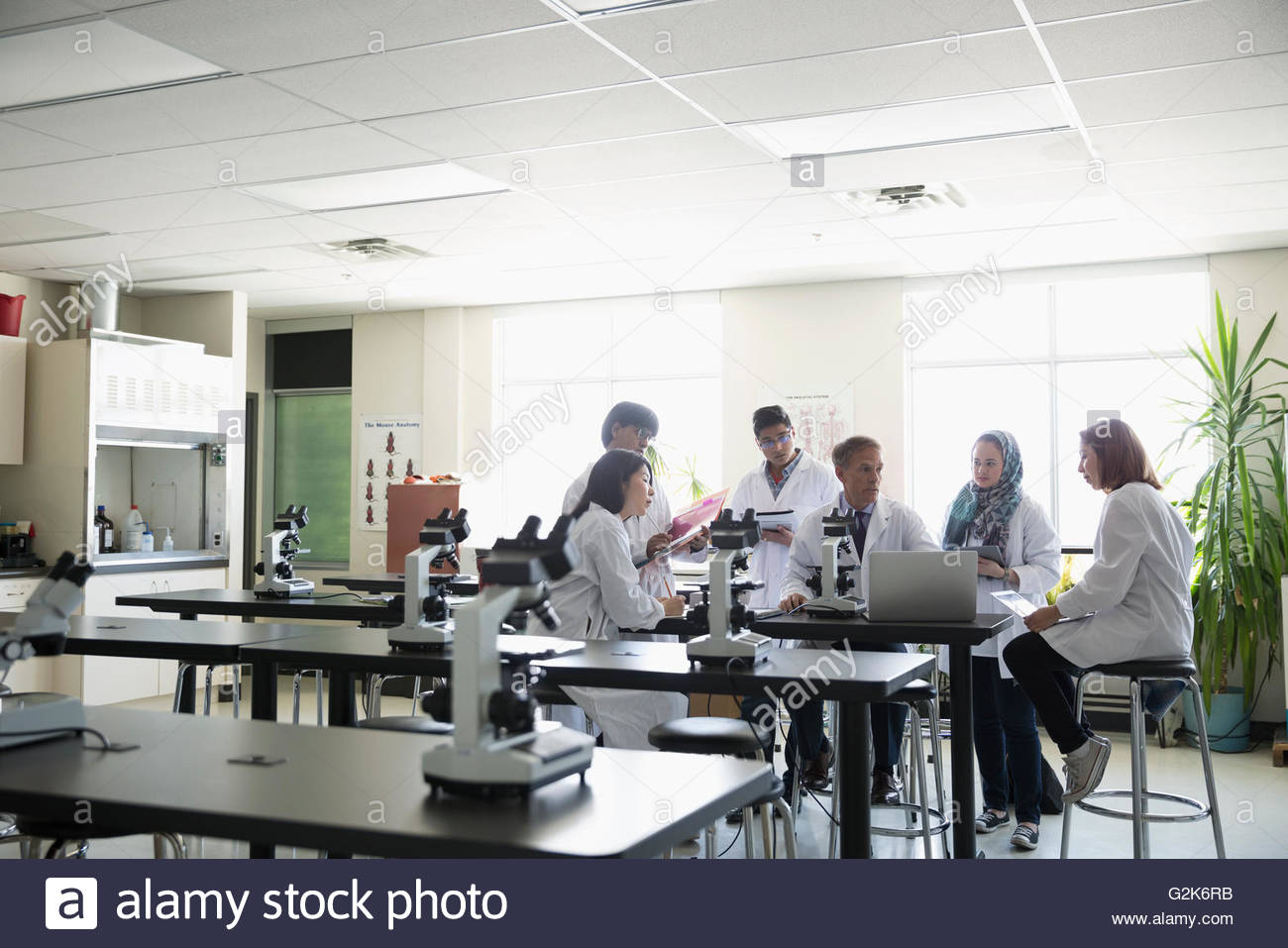 Professor and college students in science laboratory Stock Photo - Alamy