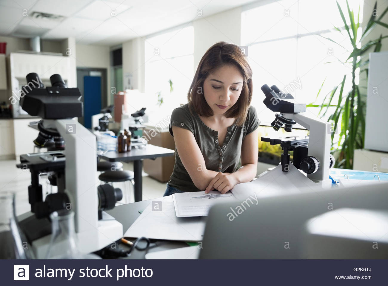 College student studying notes at microscopes in science laboratory ...