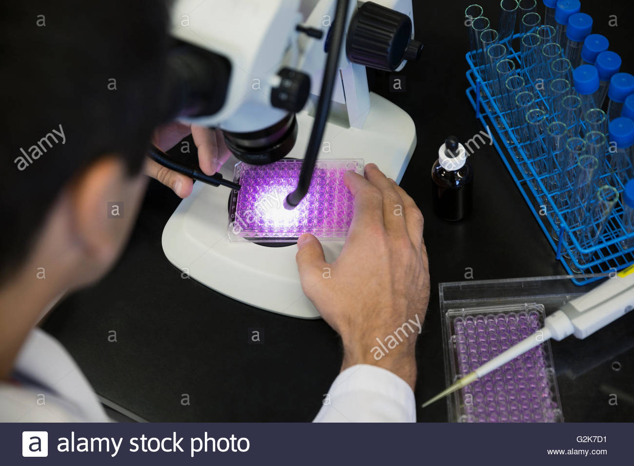 Scientist examining sample under microscope hi-res stock photography ...
