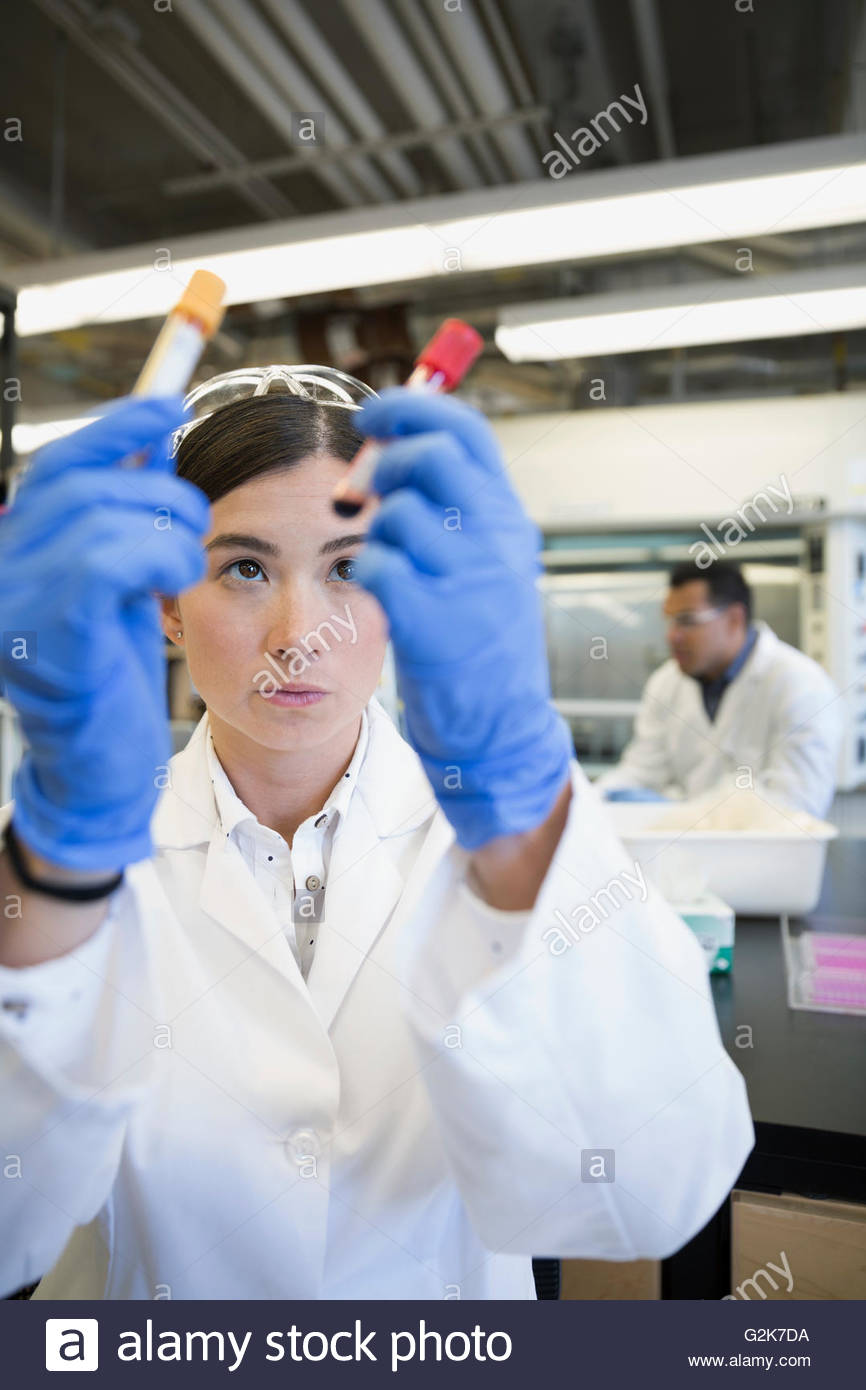 Scientist examining blood sample in hi-res stock photography and images ...