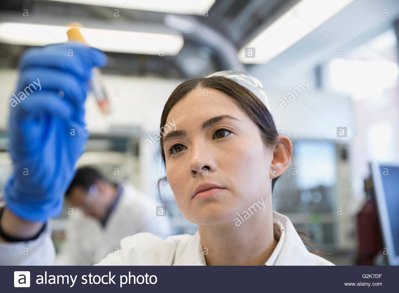 Serious scientist examining specimen in laboratory Stock Photo - Alamy