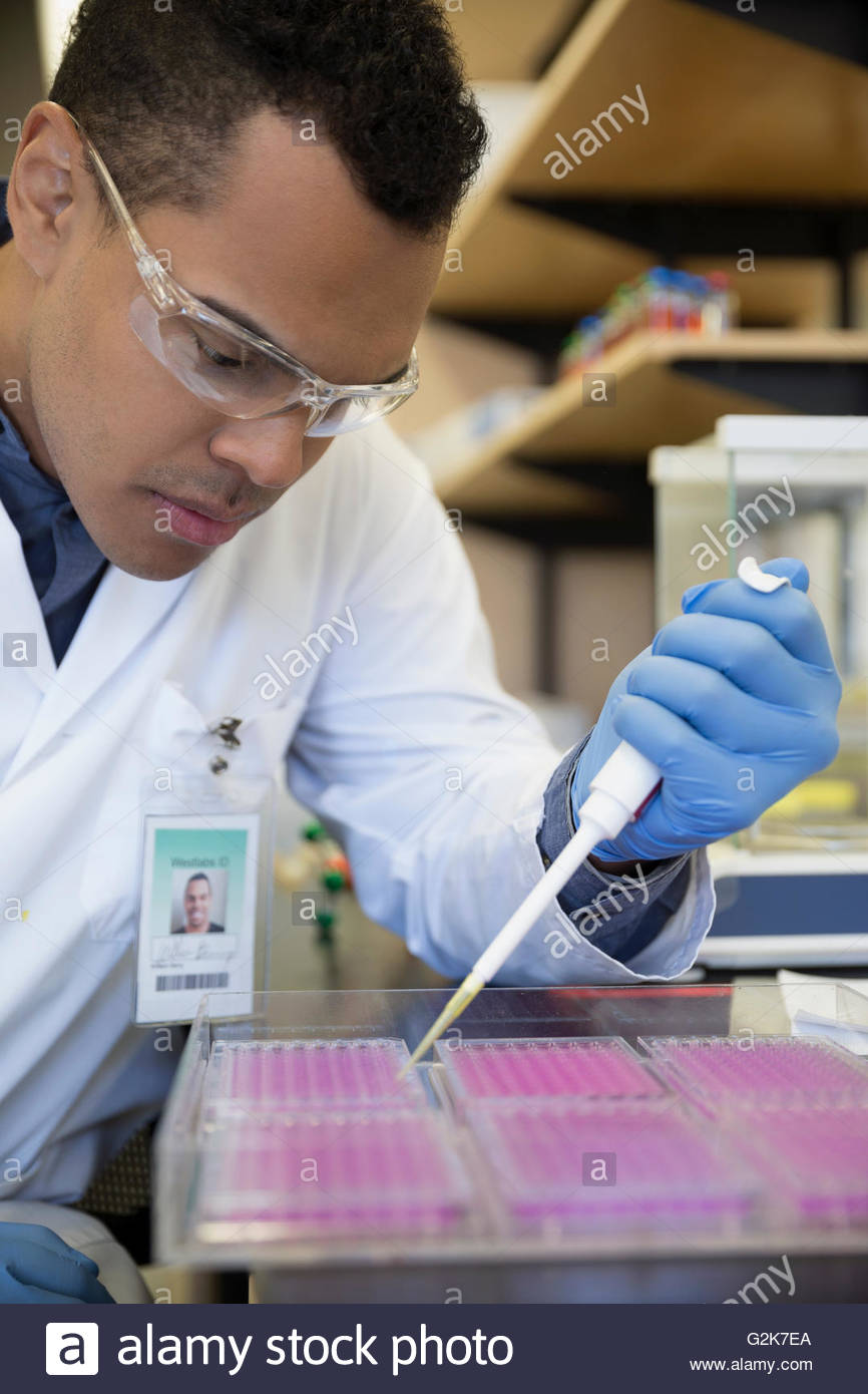 Sample trays hi-res stock photography and images - Alamy