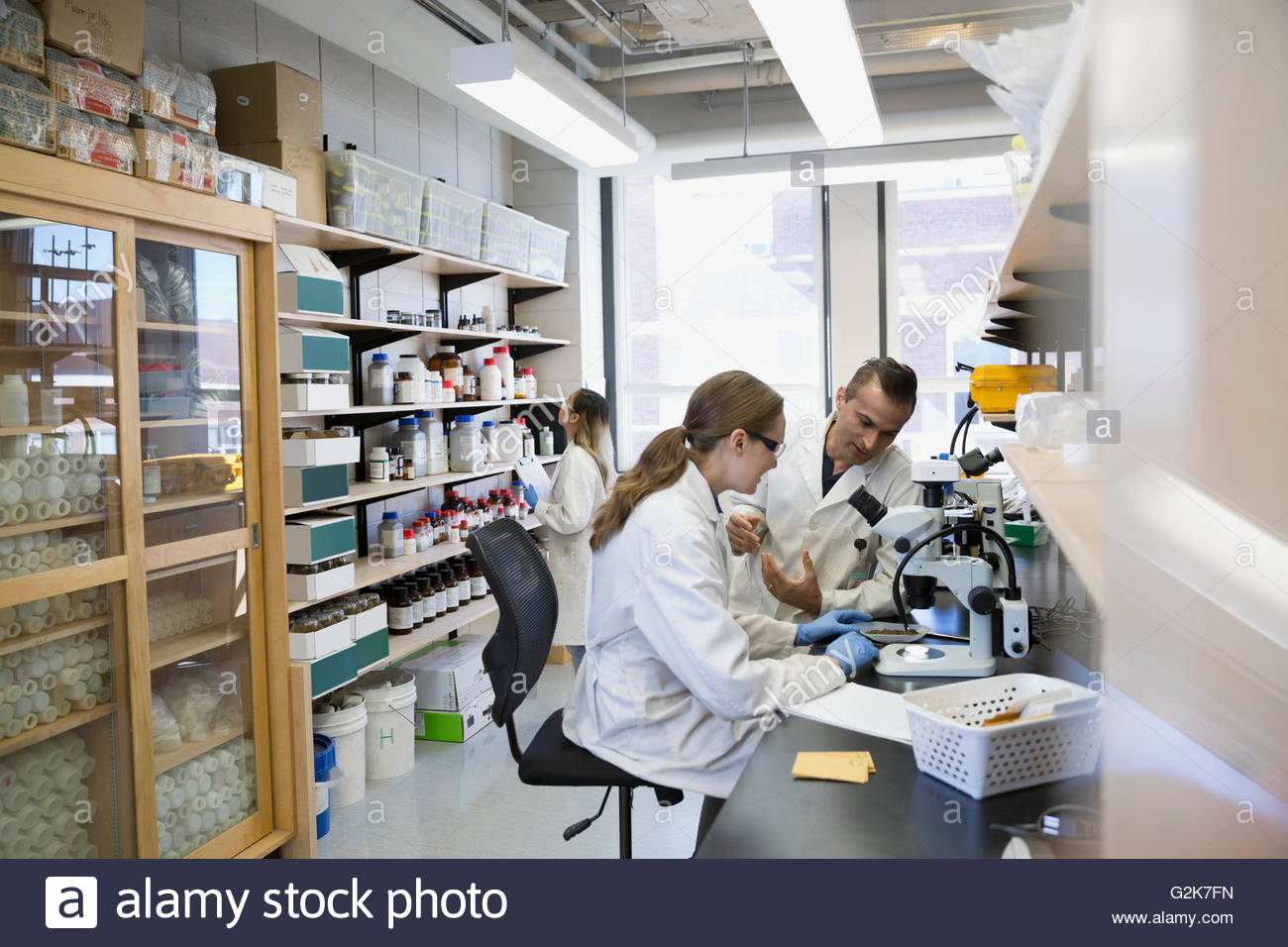 Scientists talking at microscope in laboratory Stock Photo - Alamy
