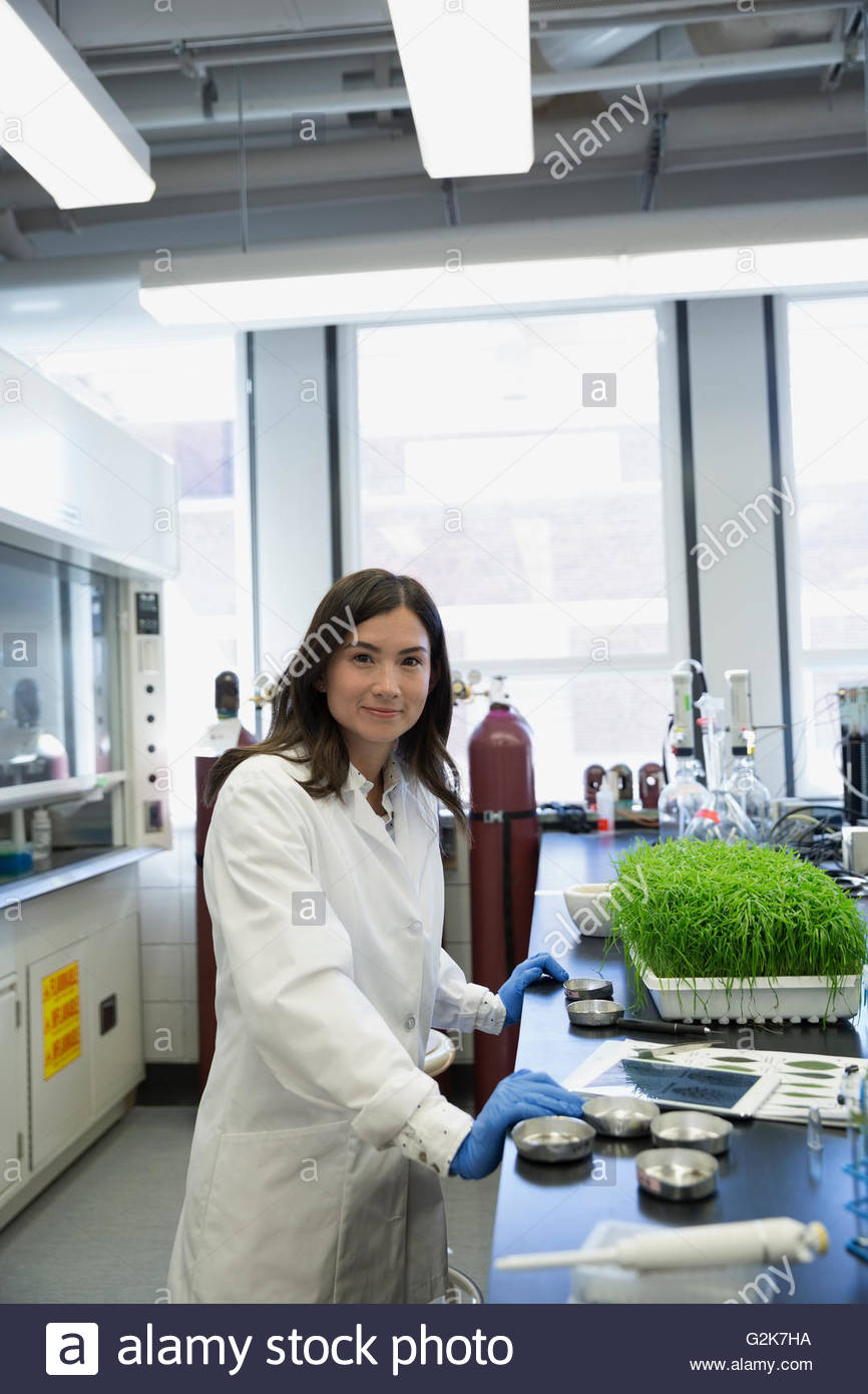 Portrait confident scientist conducting GMO experiment in laboratory ...