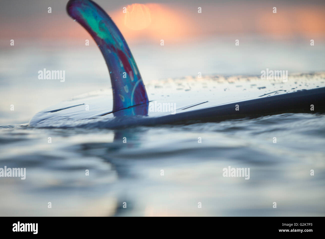 Fin skeg tail control single hi-res stock photography and images - Alamy
