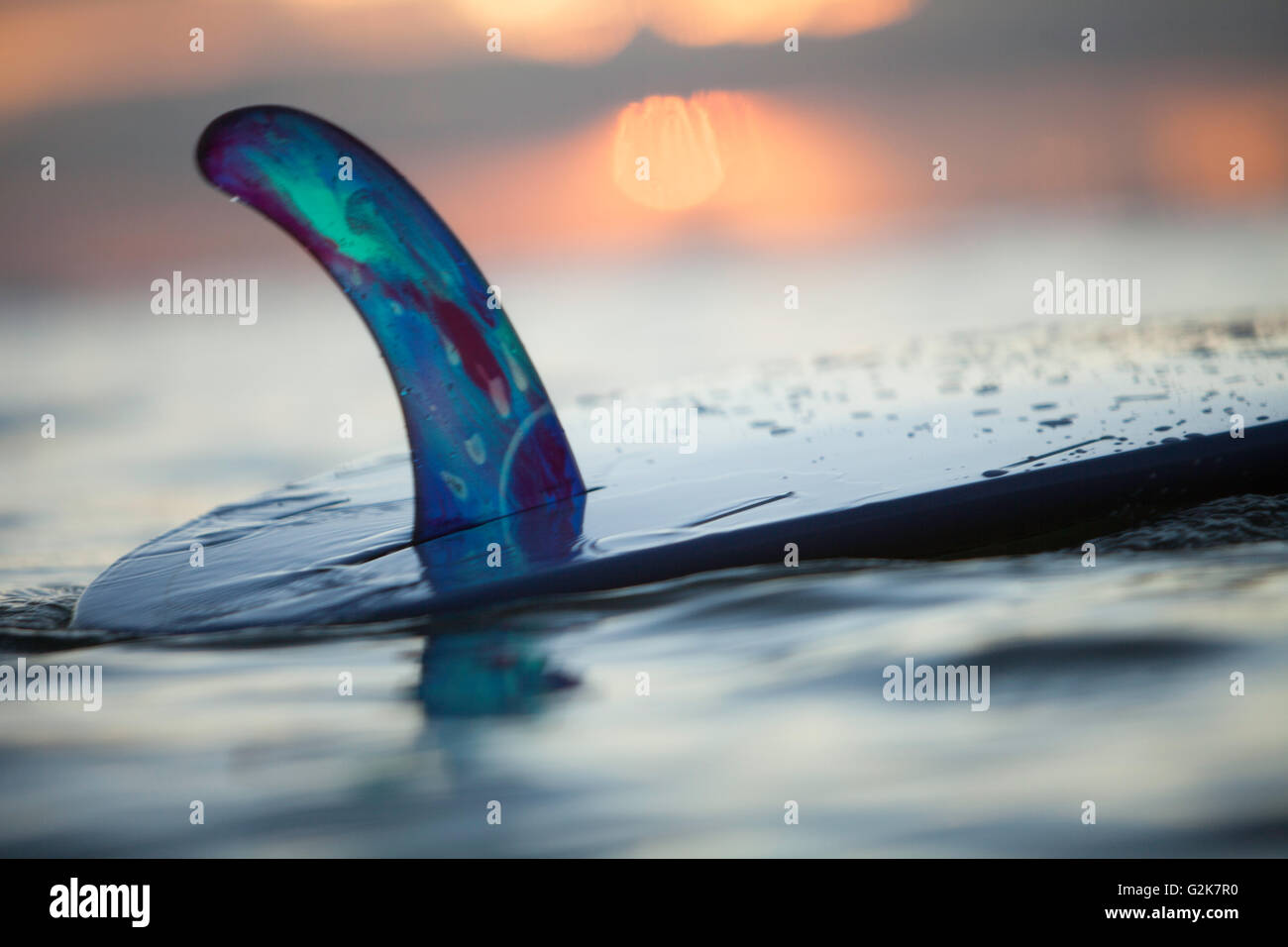 Closeup of Rainbow Fin Company single fin(skeg) on custom Kanaiupuni ...