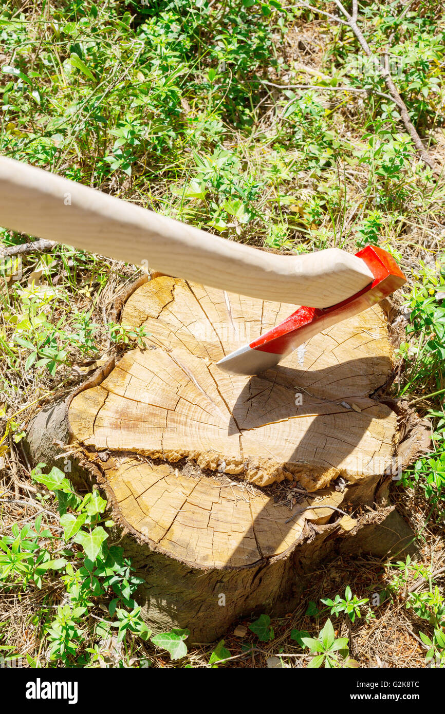 ax stuck in a tree stump Stock Photo - Alamy