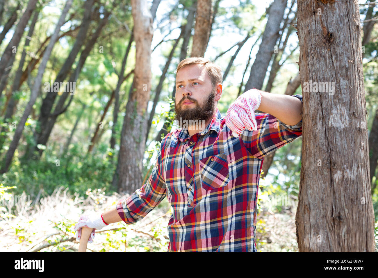 Portrait of an attractive young lumberjack Stock Photo - Alamy