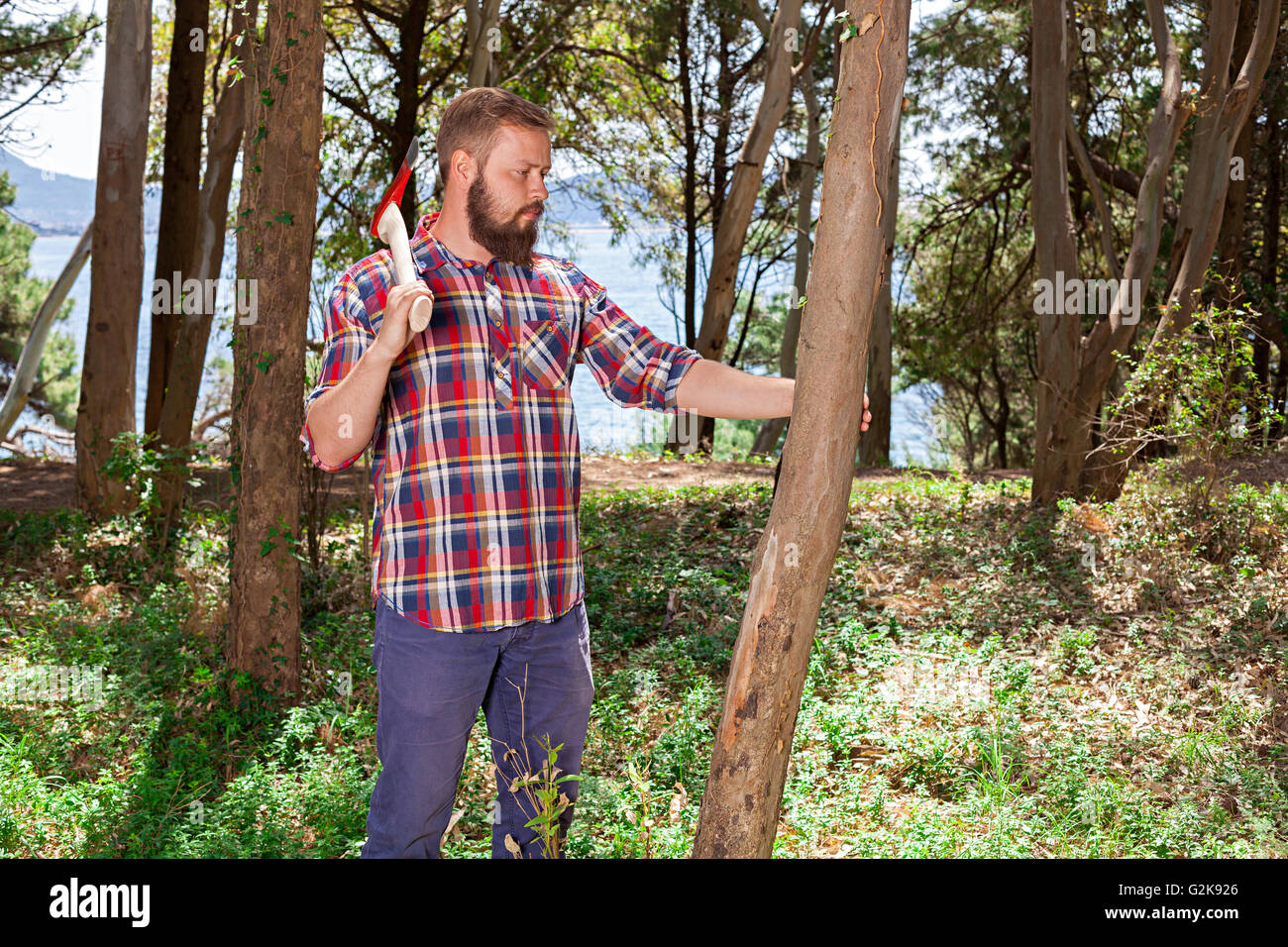 Portrait of an attractive young lumberjack Stock Photo - Alamy