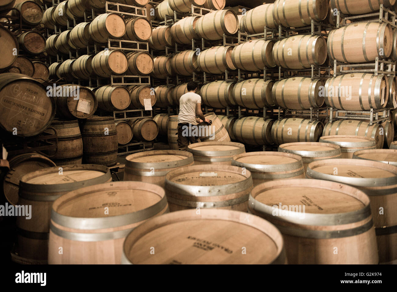 Winemaker barrels moving up or down by rolling on ground Stock Photo ...