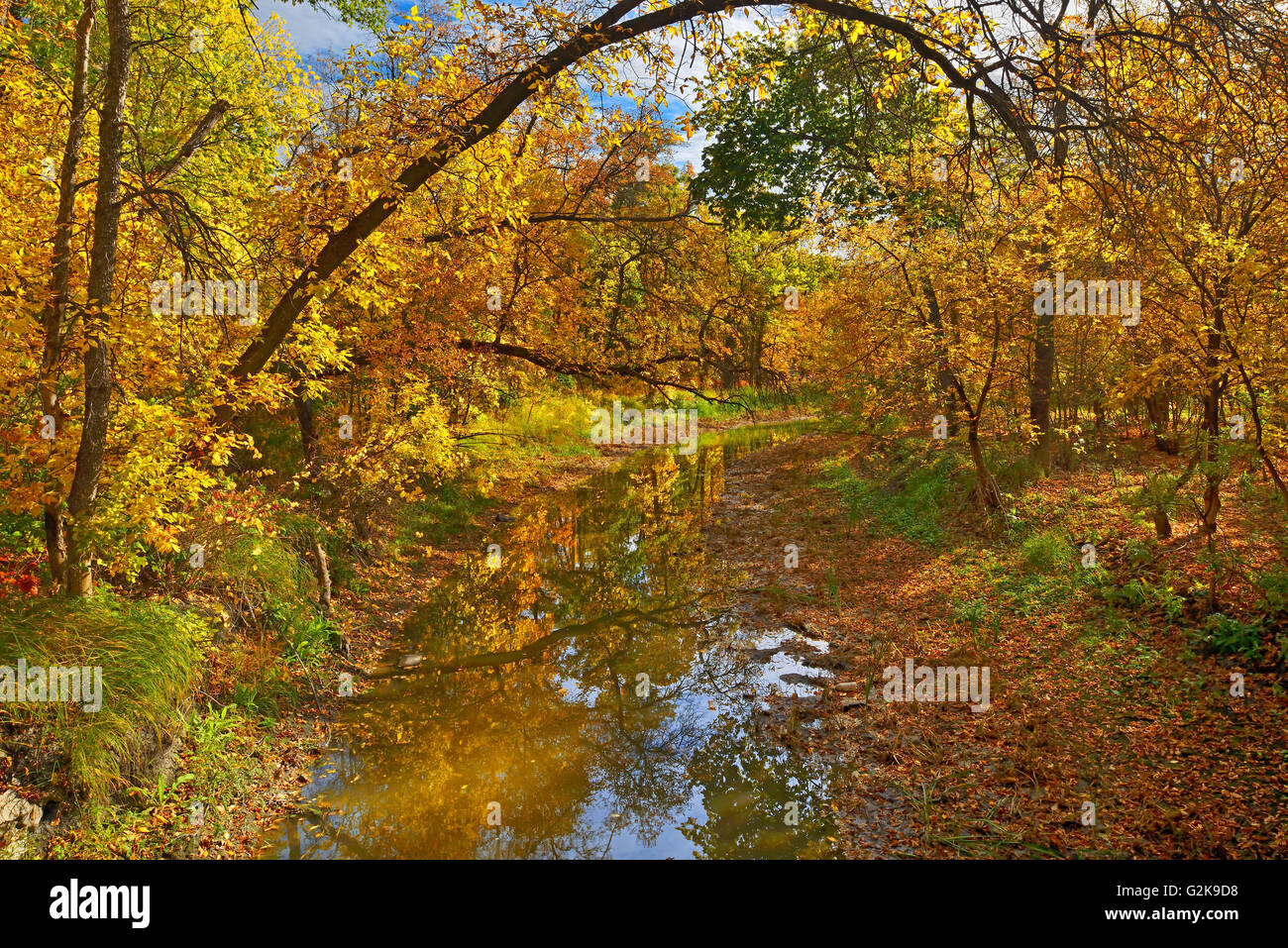 Autumn colors in Seine River Forest, Winnipeg, Manitoba, Canada Stock ...