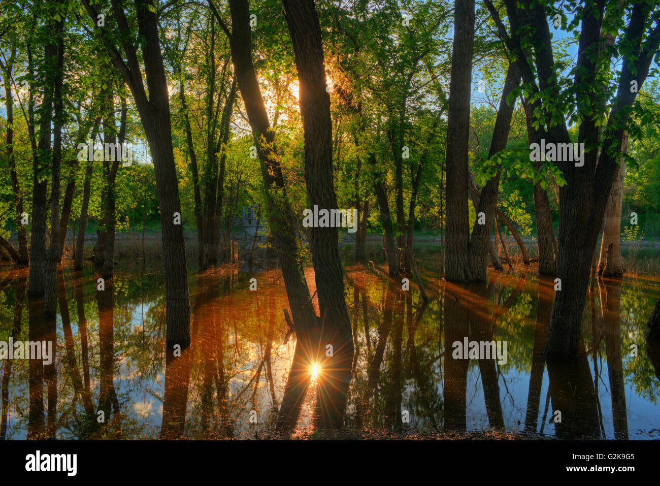 Seine River Forest High Resolution Stock Photography and Images - Alamy
