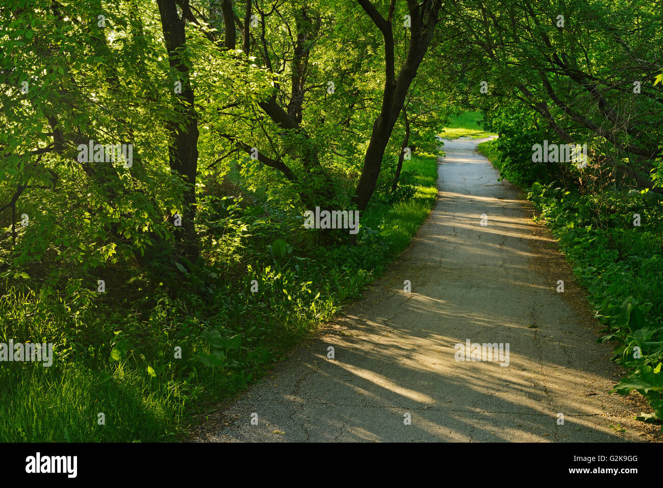 Seine river forest hi-res stock photography and images - Alamy