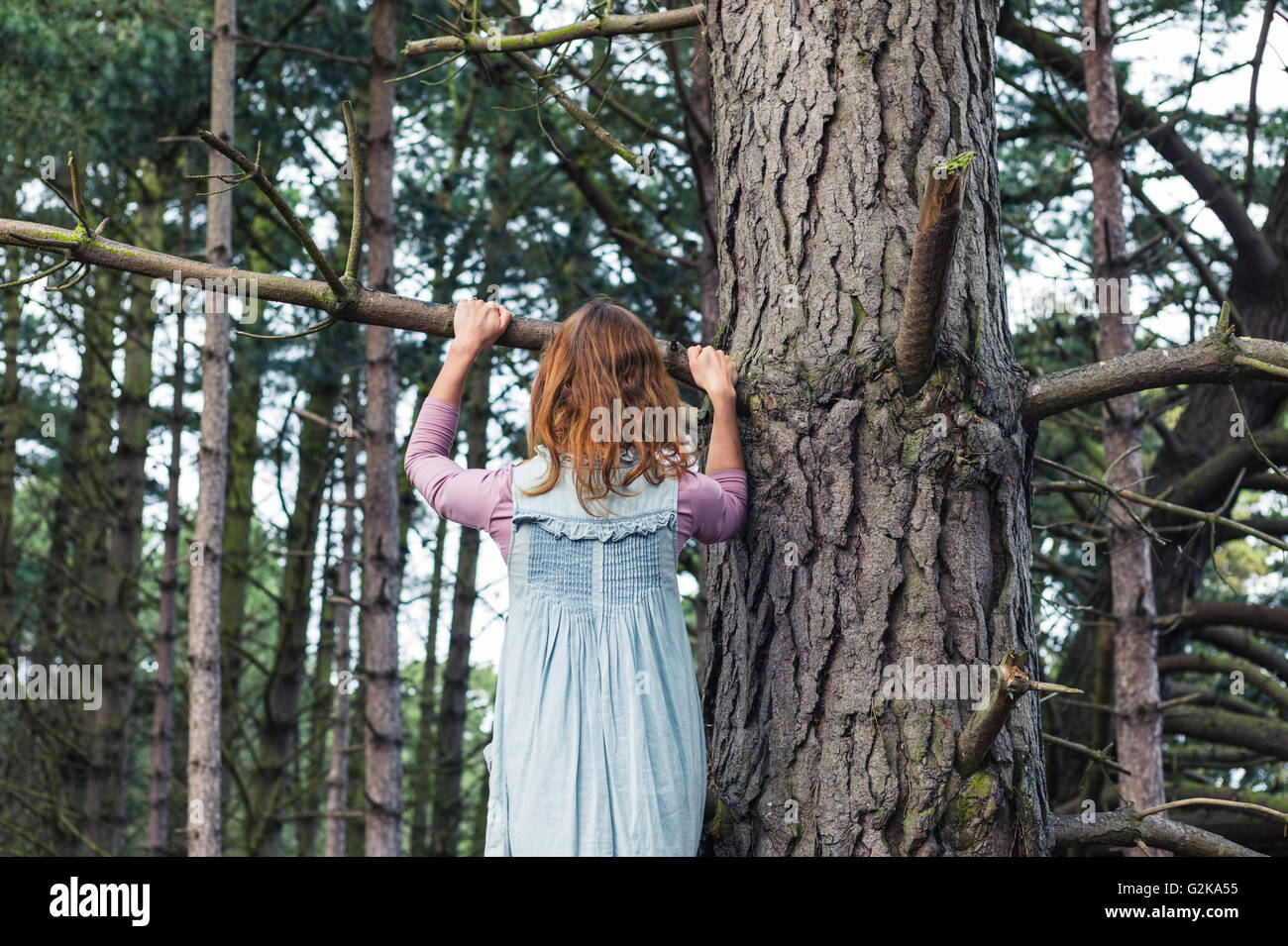 A young woman is climbing a tree in the forest Stock Photo - Alamy