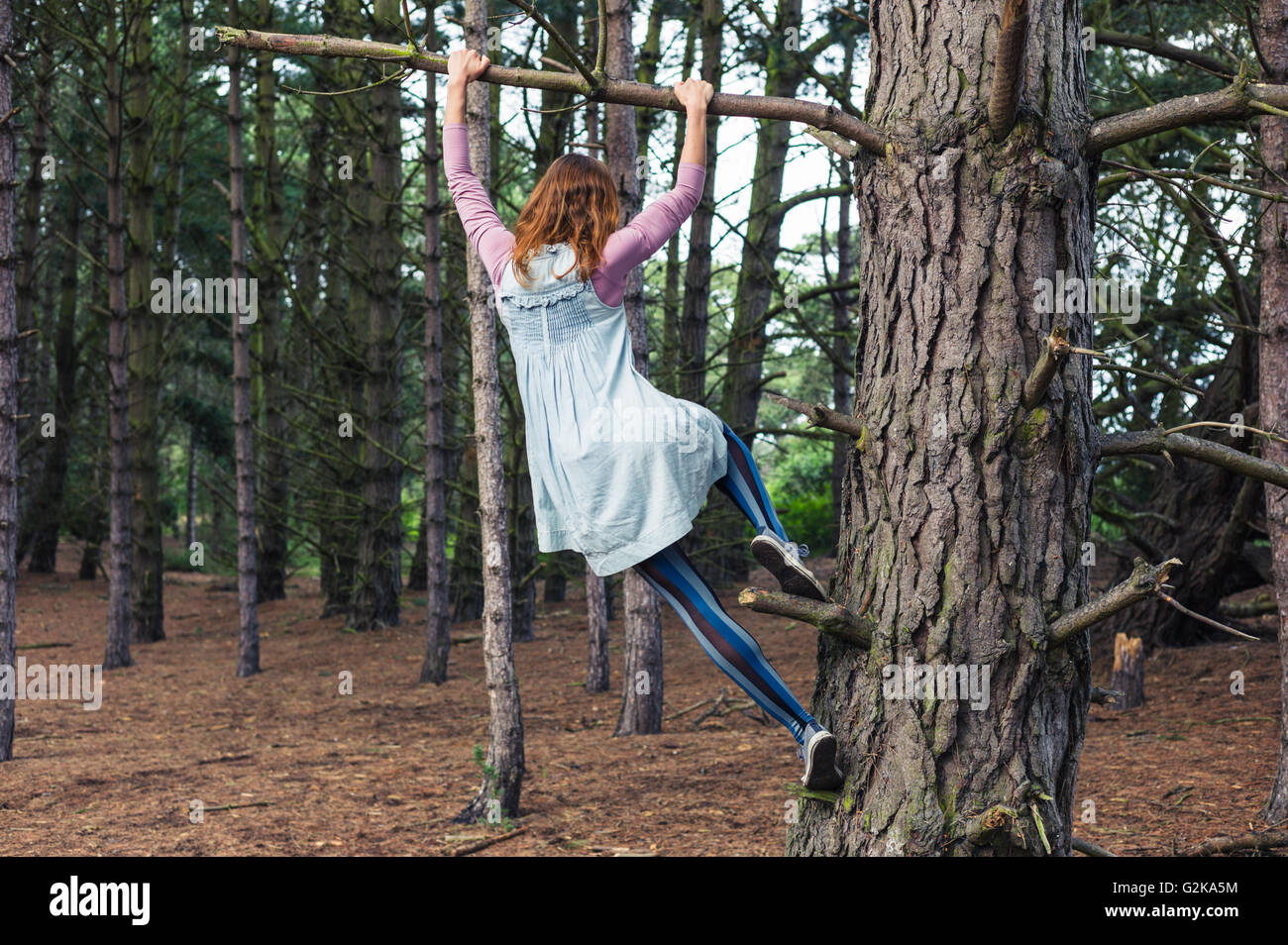 Woman climbing tree hi-res stock photography and images - Alamy