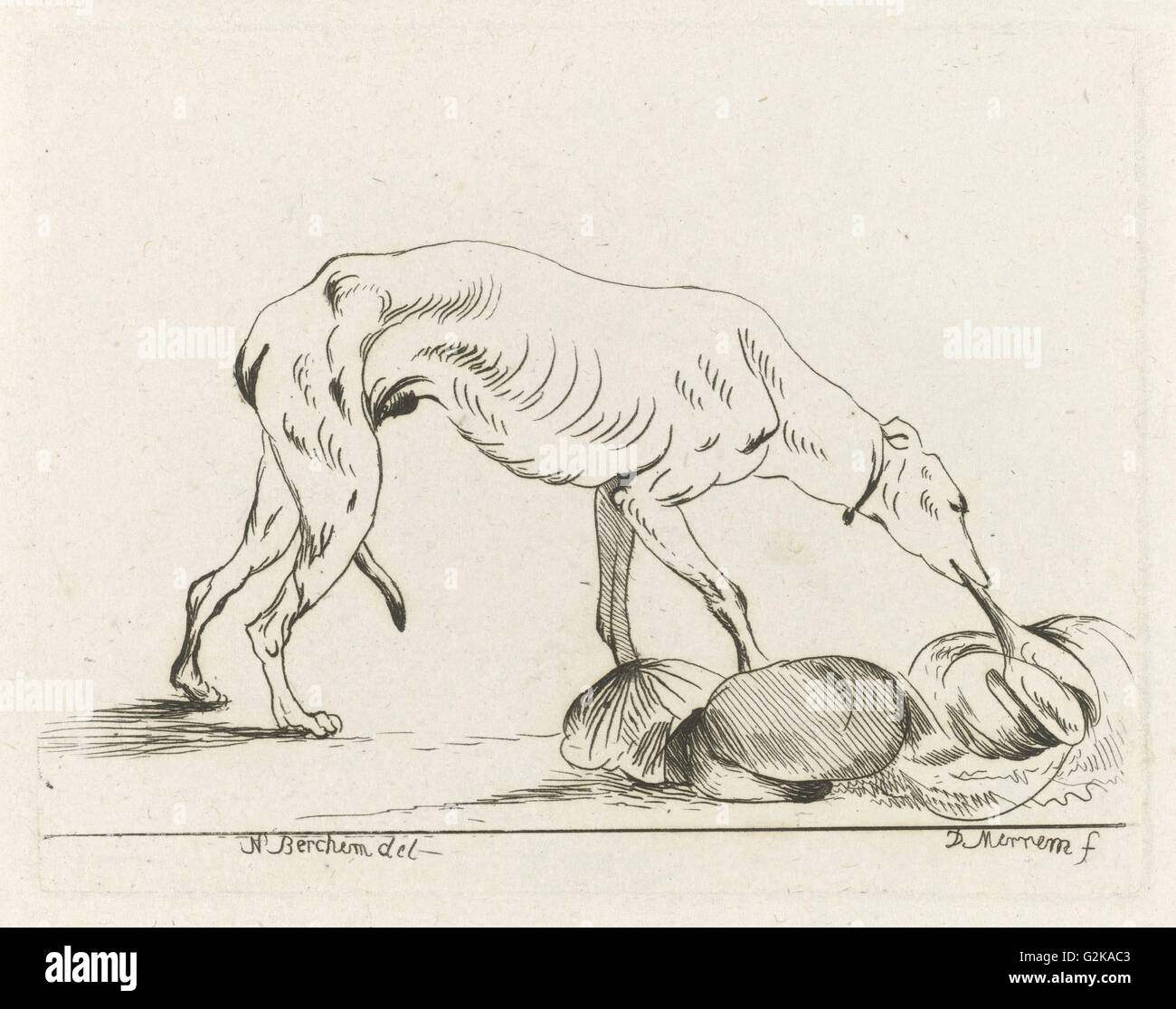 Eating dog, D. Merrem, 1700 - 1800 Stock Photo - Alamy
