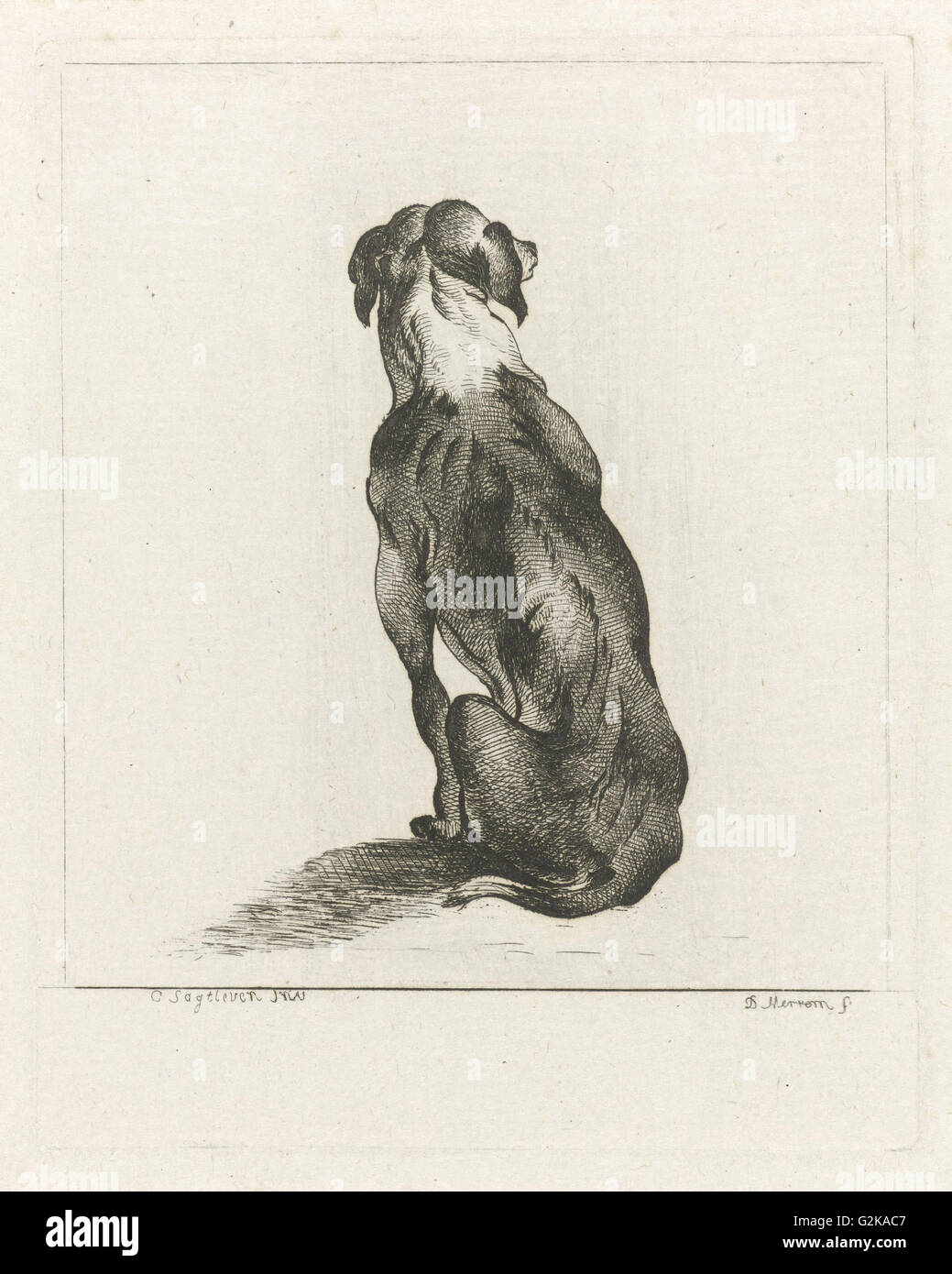 Sitting dog, D. Merrem, 1700 - 1800 Stock Photo - Alamy