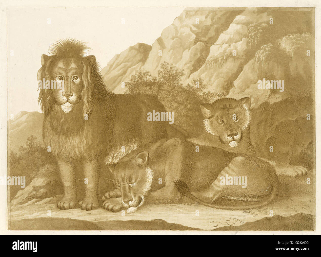 Haastert isaac van hi-res stock photography and images - Alamy
