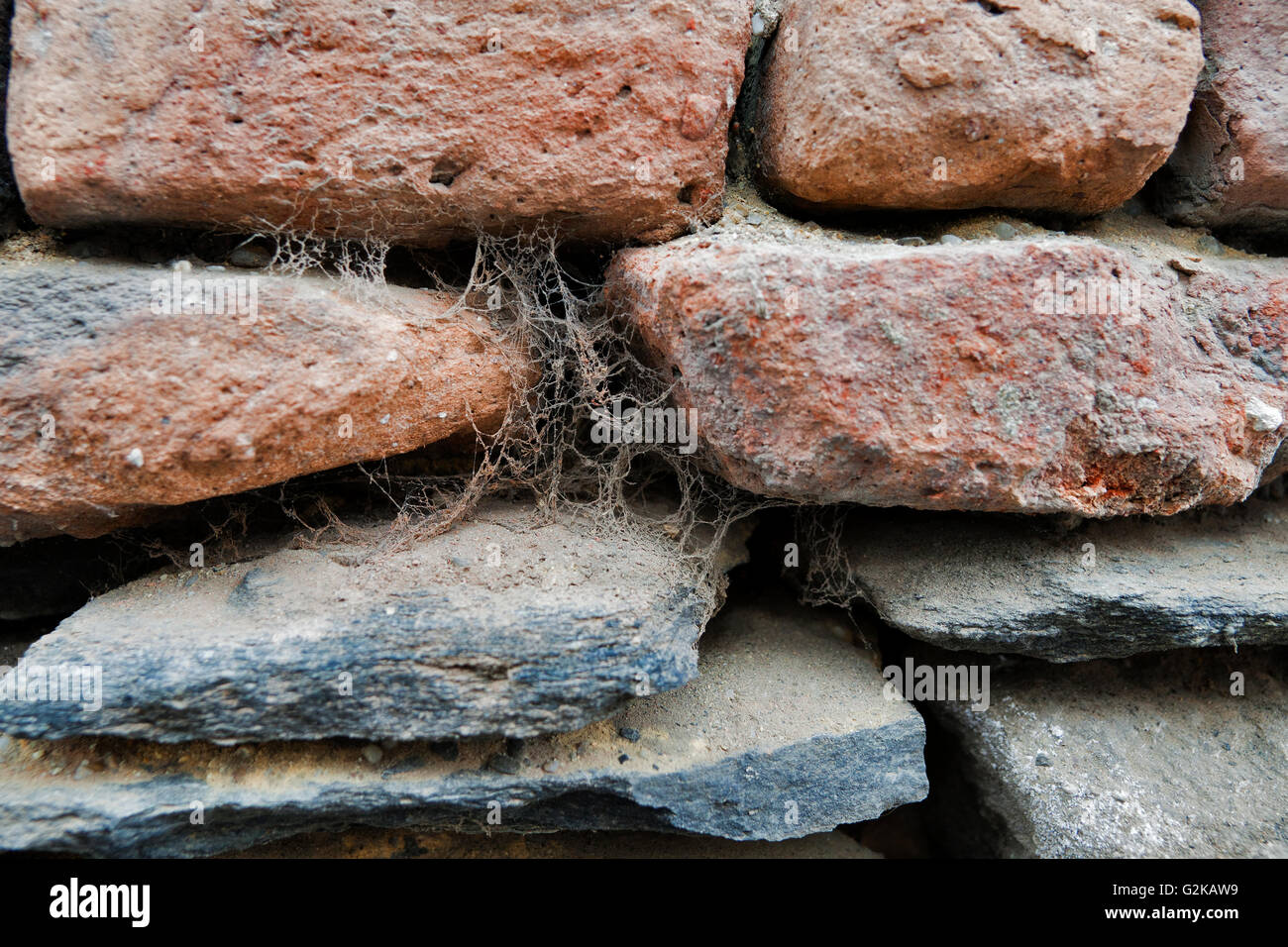 Cobwebs on a stone wall Stock Photo - Alamy