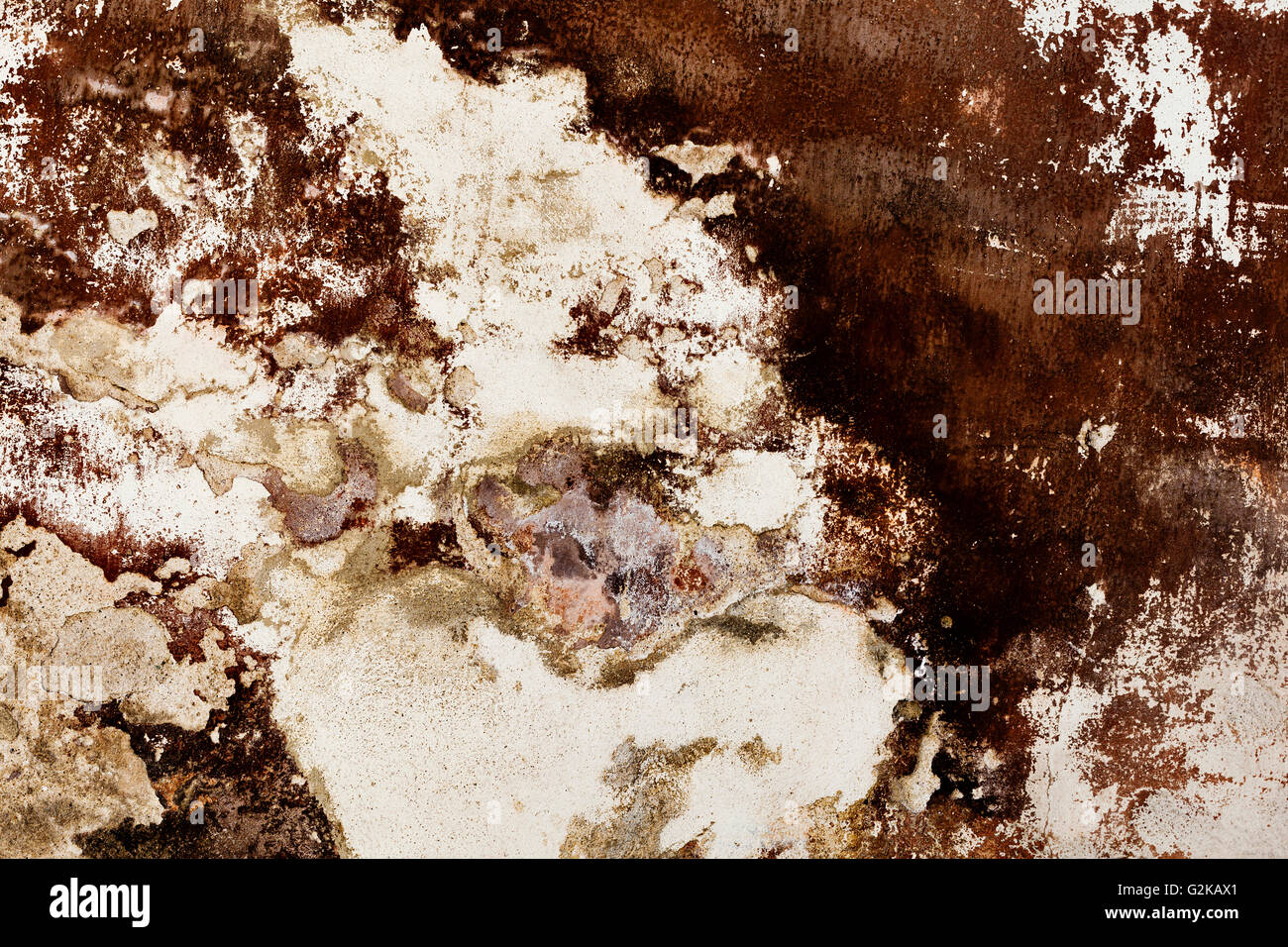 Wet old brickwork Stock Photo - Alamy