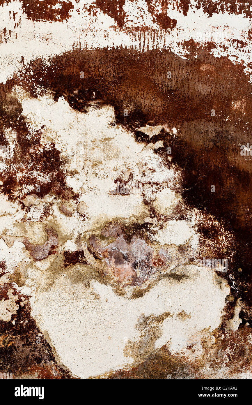 Wet old brickwork Stock Photo - Alamy