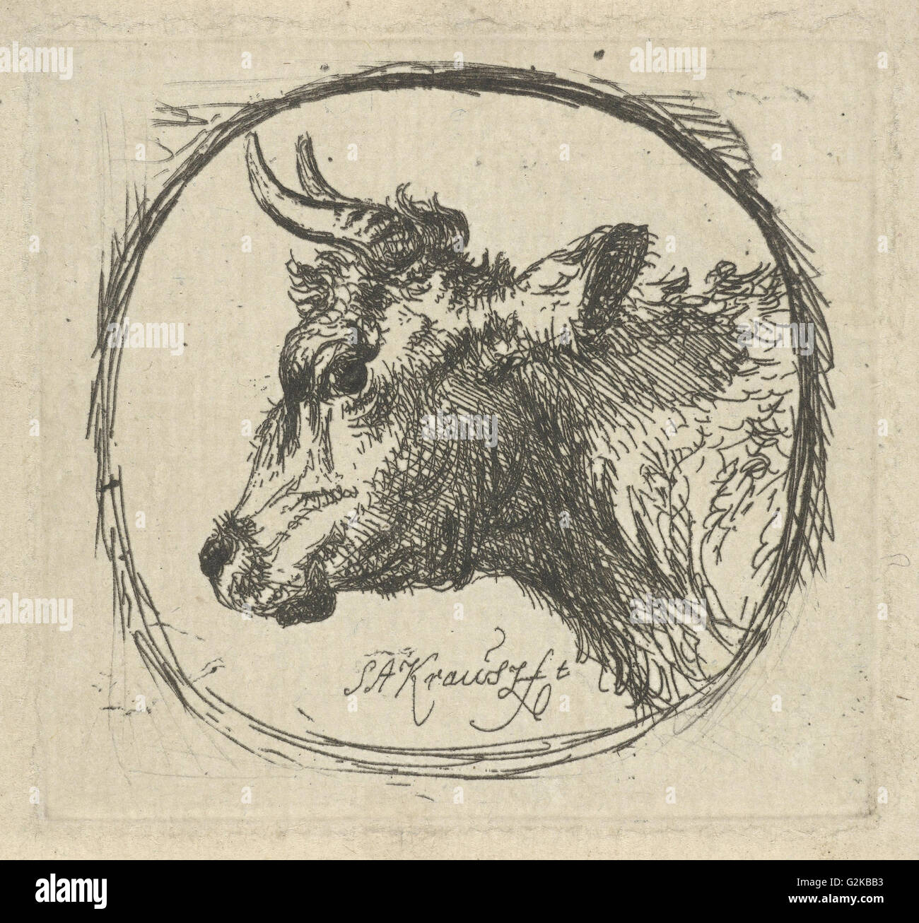 Cow's head in profile to the left, Simon Andreas Krausz, 1770 - 1825 ...