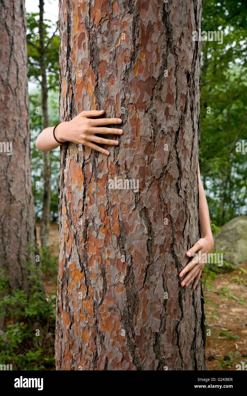 Hands Hugging Tree Stock Photo - Alamy