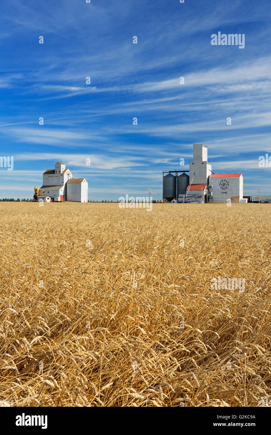 Western canadian grain elevators hi-res stock photography and images ...