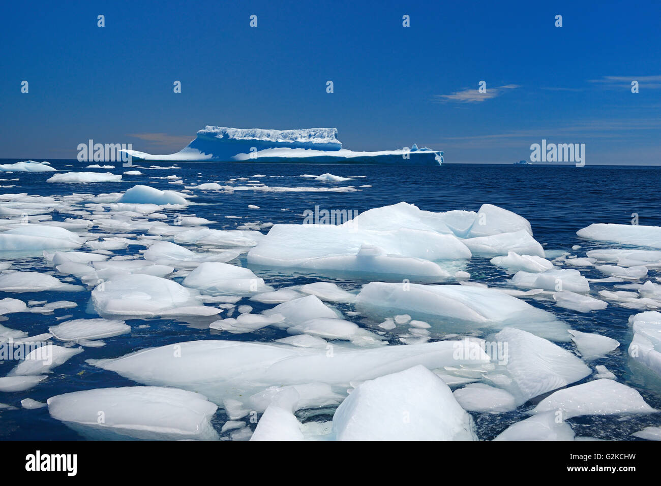 Icebergs floating in the Atlantic Ocean Near St. Anthony Newfoundland ...