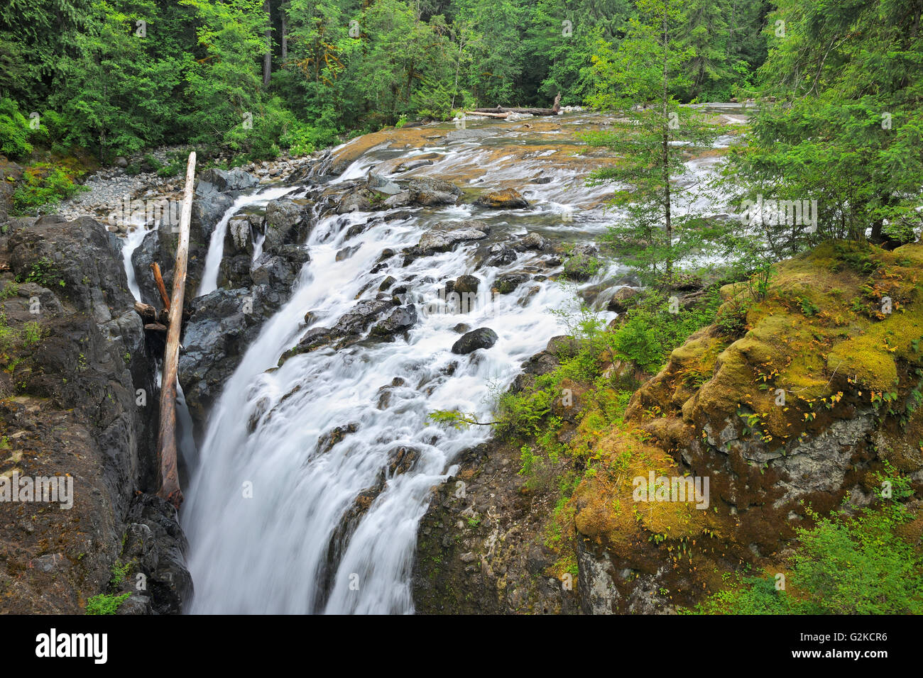 Englishman River Falls Englishman River Falls Provincial Park British ...