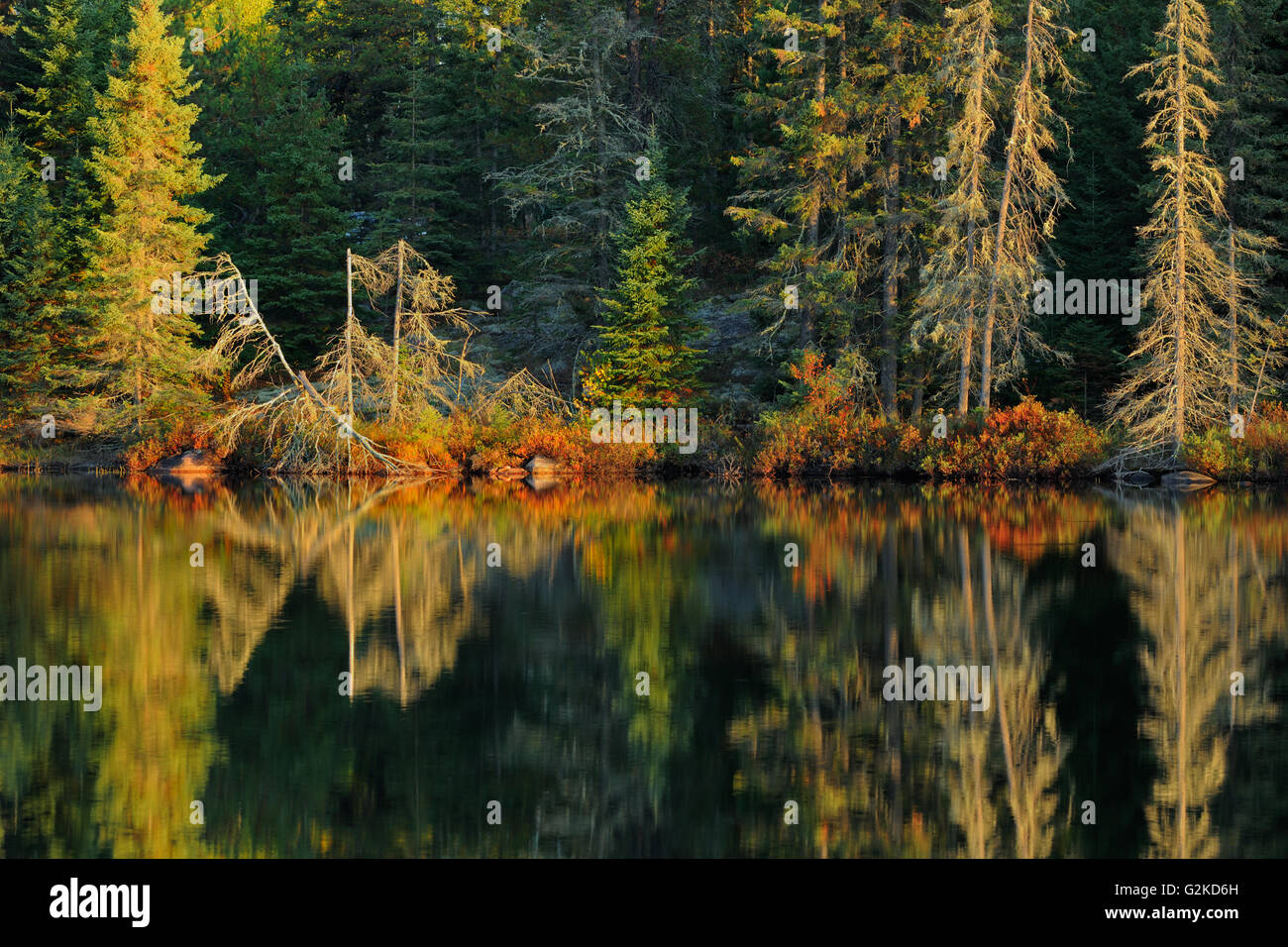 Shoreline along Isabel Lake Kenora Ontario Canada Stock Photo - Alamy