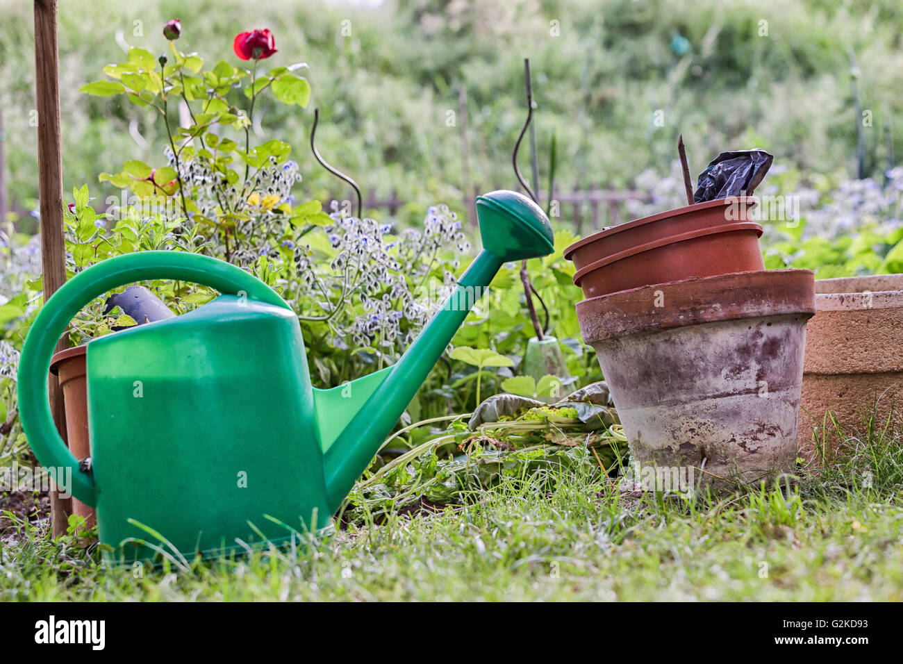 Watering can hi-res stock photography and images - Alamy