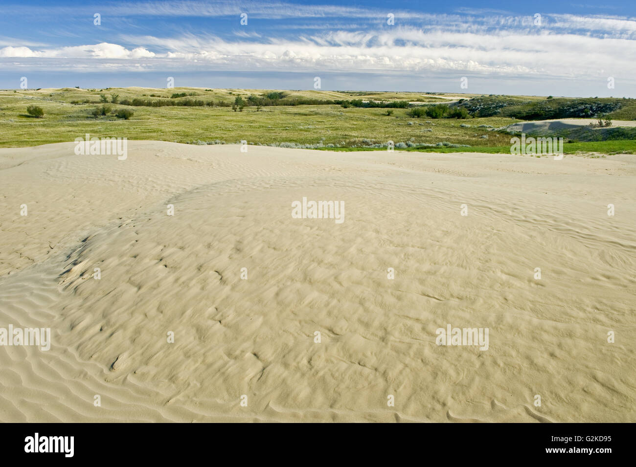 Sand dunes Great Sand Hills Saskatchewan Canada Stock Photo - Alamy