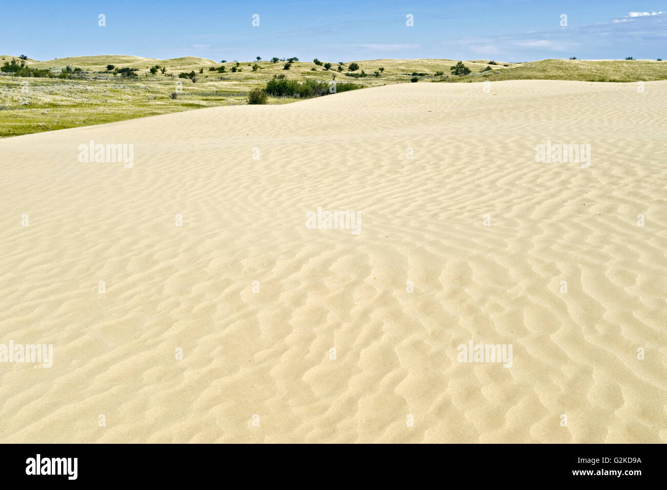 Saskatchewan Canada Sand Dunes Stock Photos & Saskatchewan Canada Sand ...