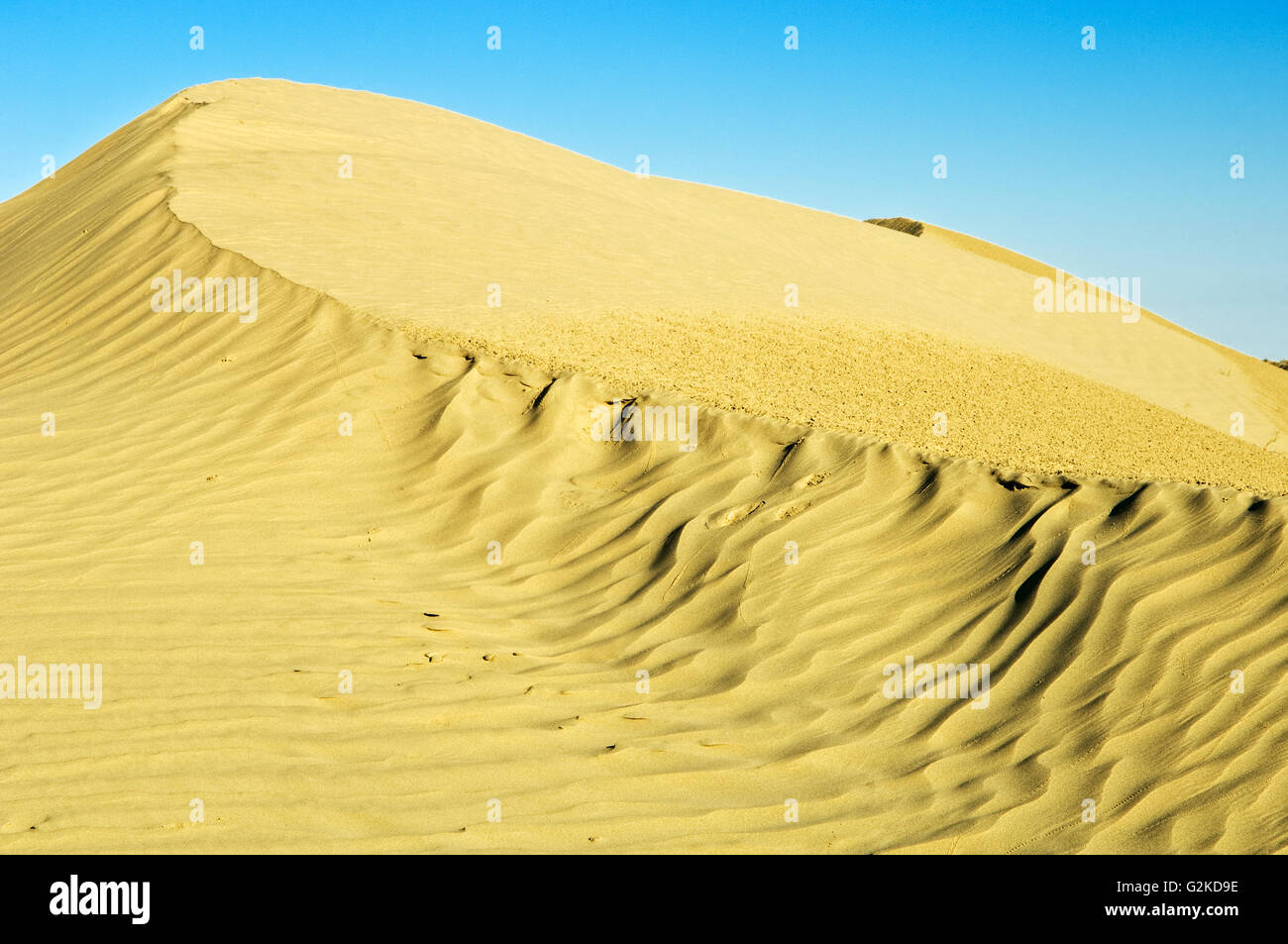 Sand dunes Great Sand Hills Saskatchewan Canada Stock Photo - Alamy