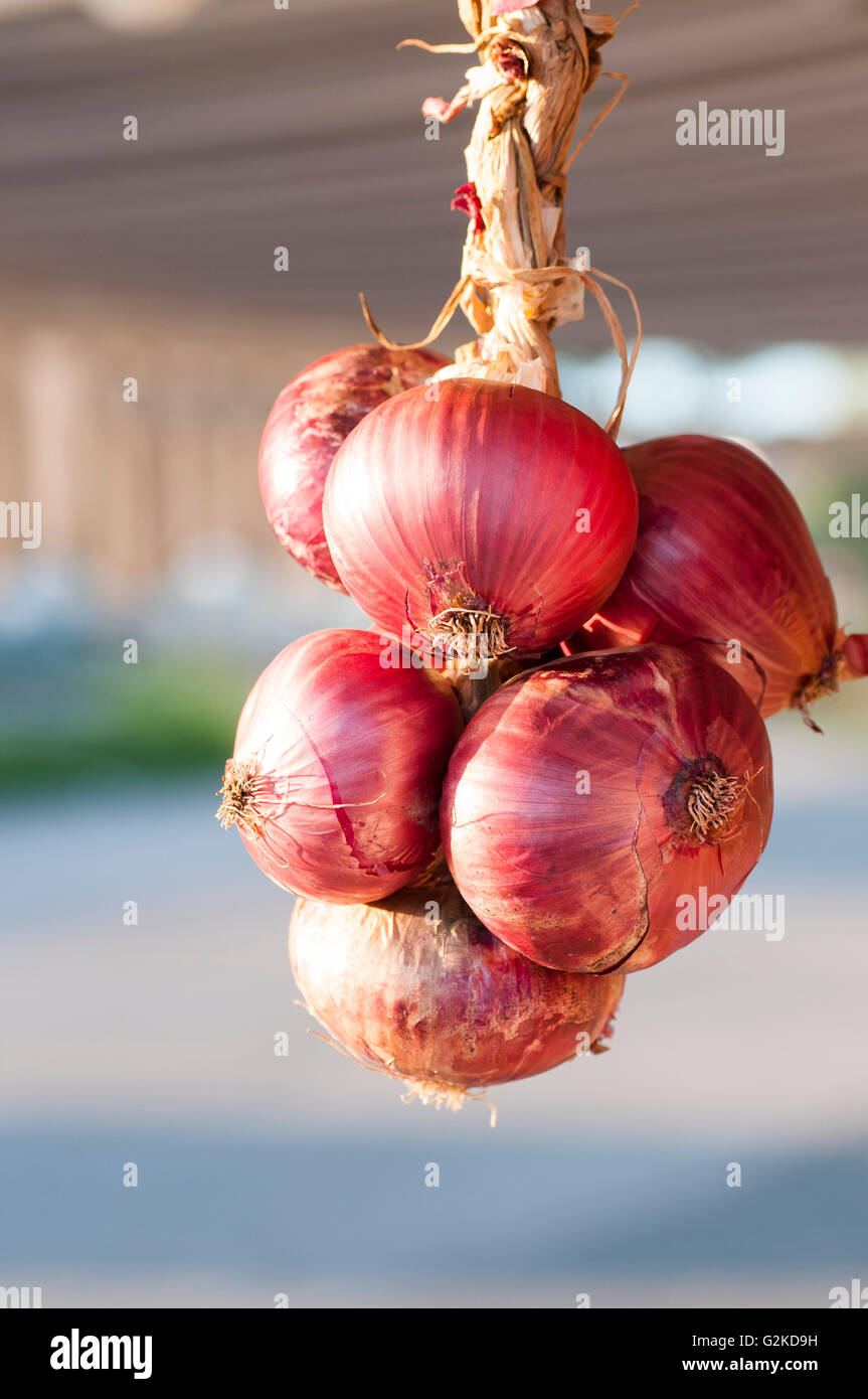 Onions in grocery hi-res stock photography and images - Alamy