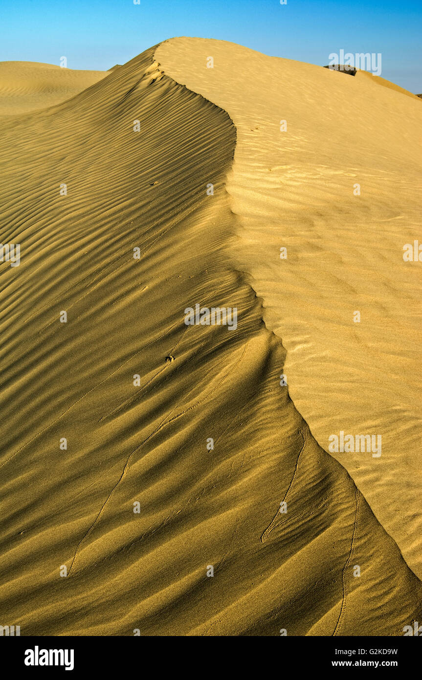 Ripples and sand dunes Great Sand Hills Saskatchewan Canada Stock Photo ...