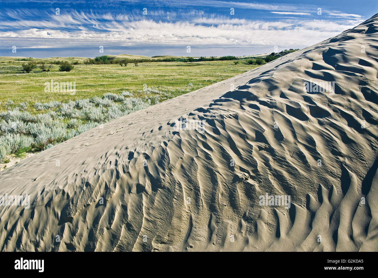 Saskatchewan Canada Sand Dunes Stock Photos & Saskatchewan Canada Sand ...