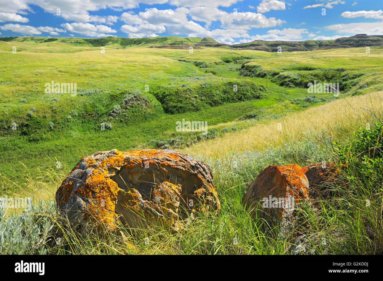 Killdeer Badlands. East Block Grasslands National Park Saskatchewan ...